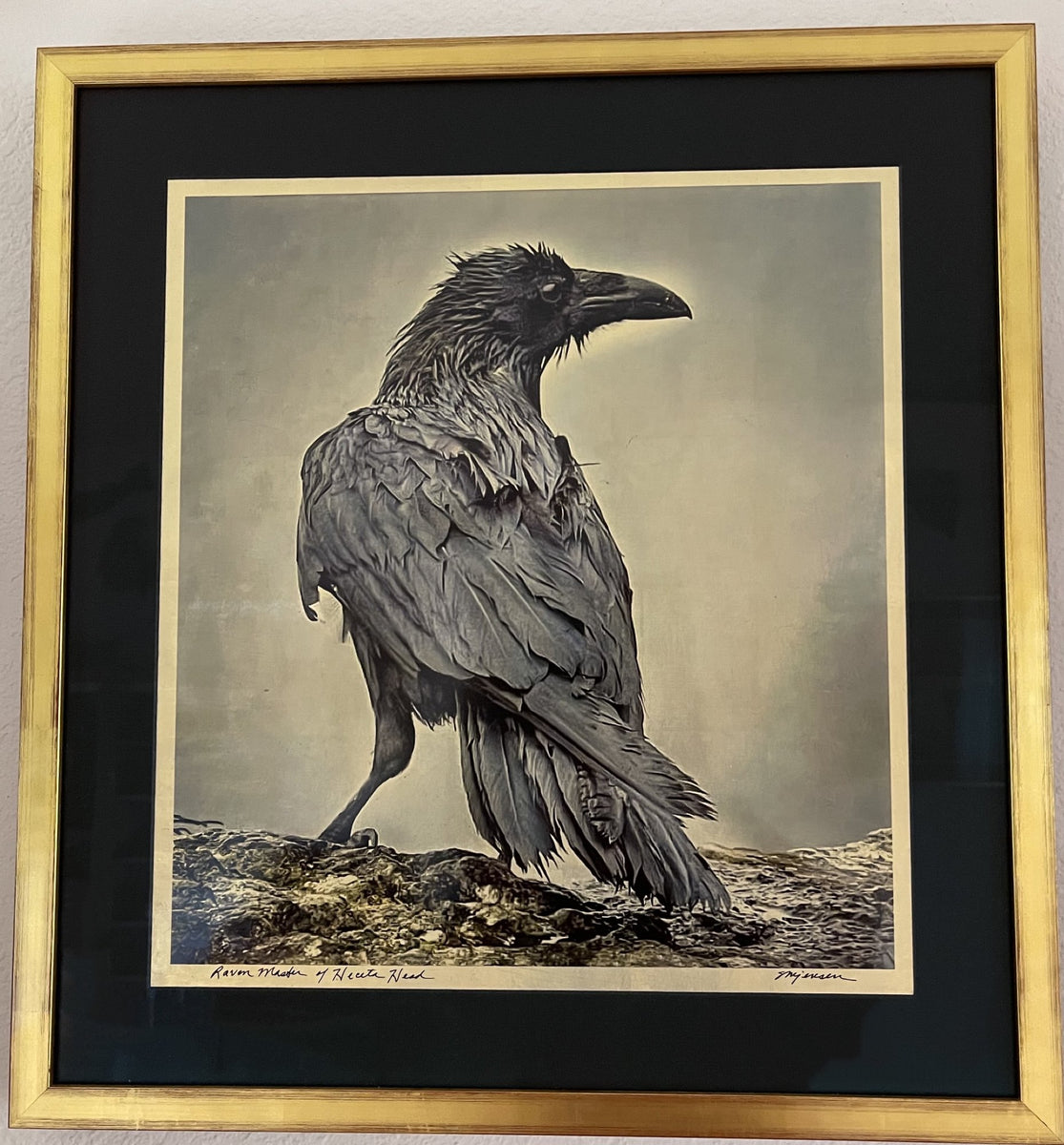 Sandy Brown Jensen - "Raven Master of Heceta Head" – Xanadu Gallery