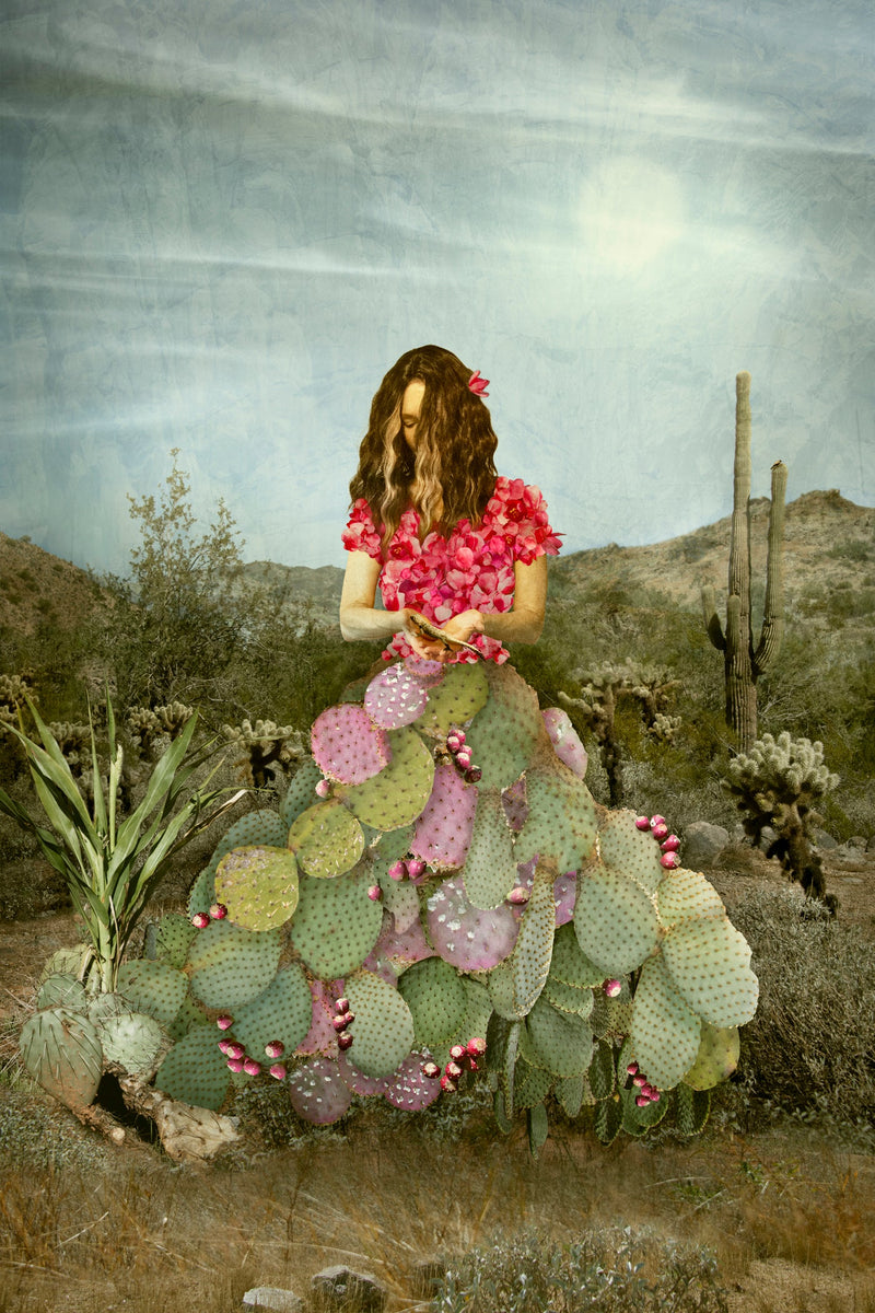 Elisabeth Ladwig – Xanadu Gallery