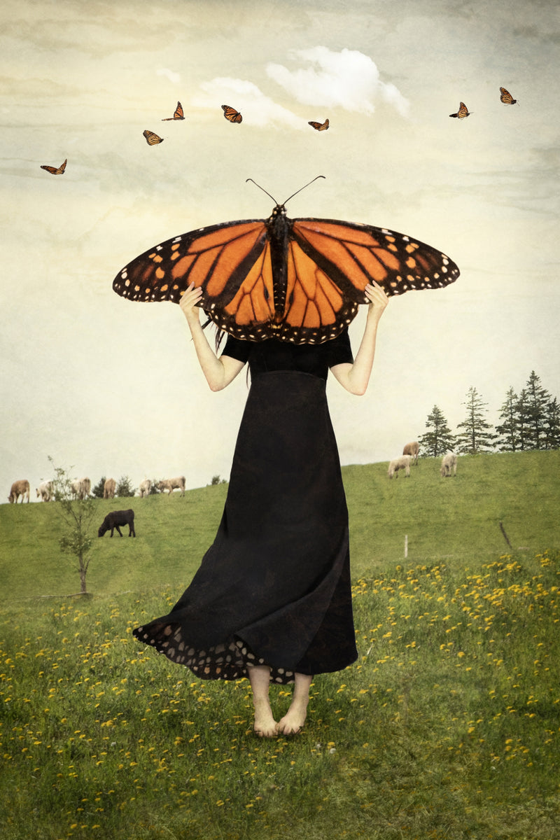 May Timid Wings Awaken - Photo Collage Print (Unframed) Photographyby ...