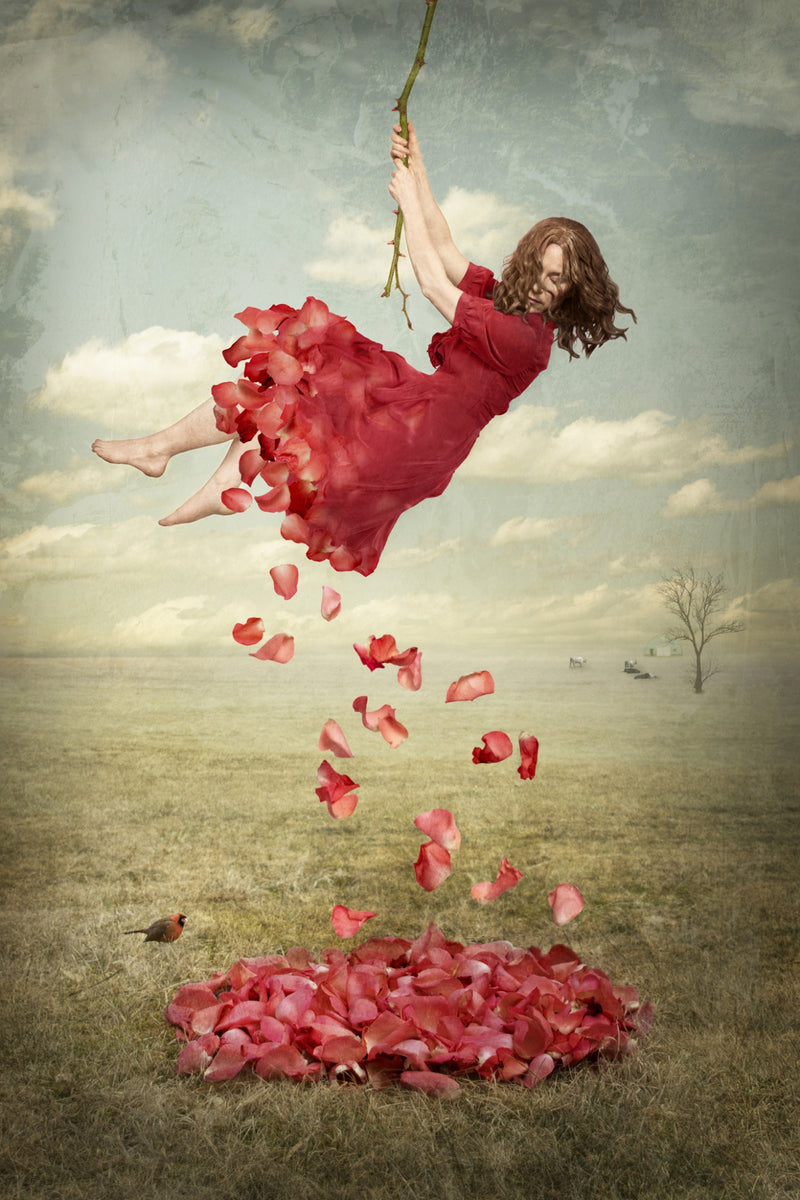 A Safe Place to Land - Photo Collage on Watercolor Paper Photographyby ...