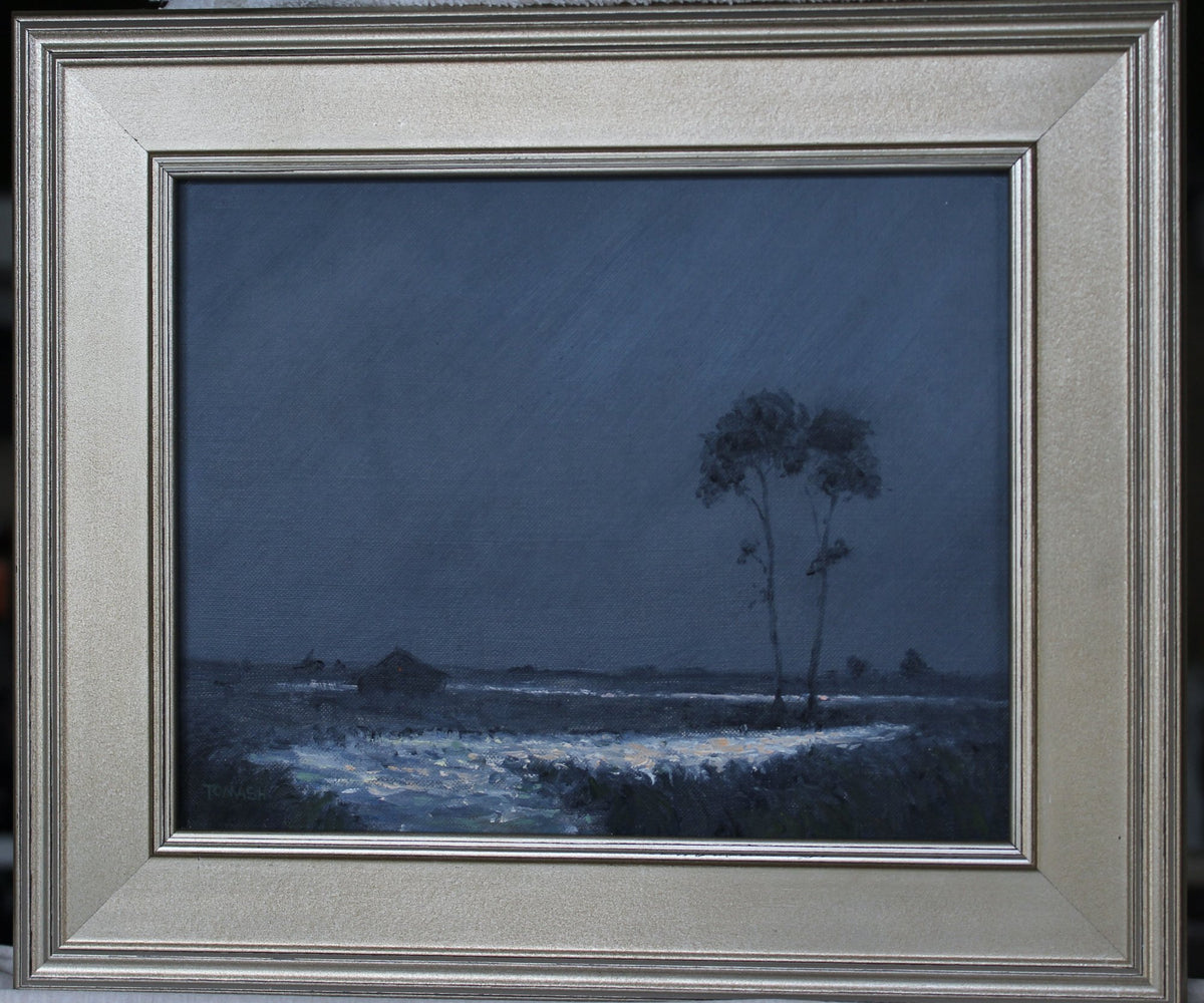 Diane Tomash - "Moonlight Over Protected Land" – Xanadu Gallery