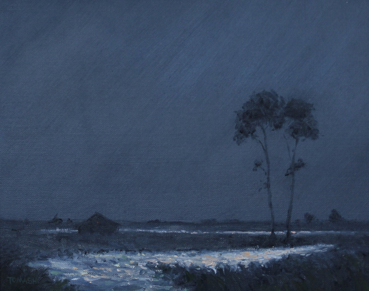 Diane Tomash - "Moonlight Over Protected Land" – Xanadu Gallery