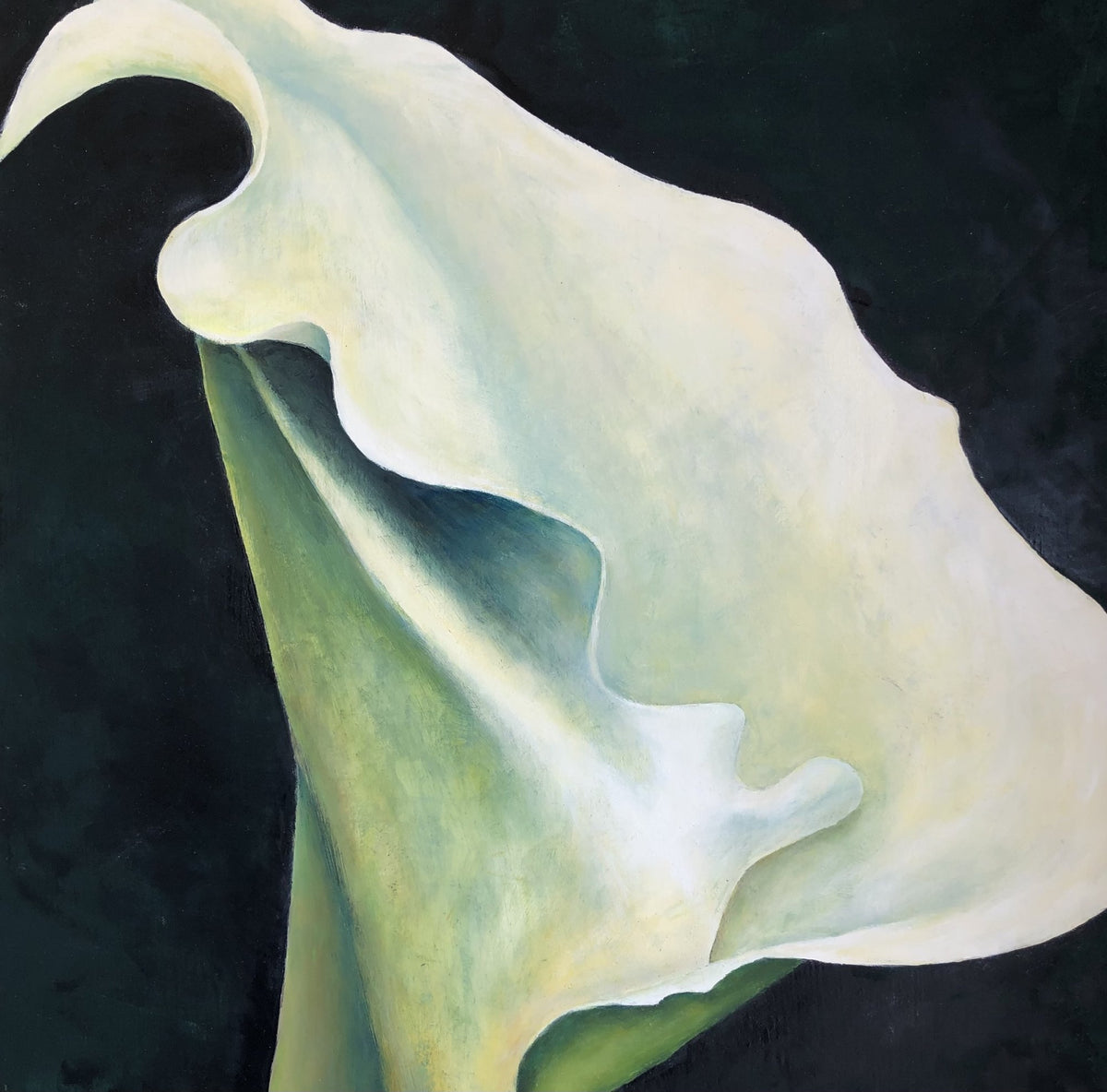 Margaret Skiles - "Calla Lily 7" – Xanadu Gallery