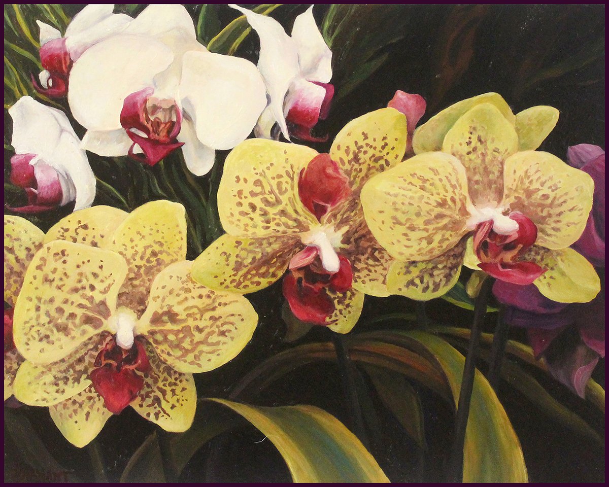 Sandra Bryant - "Orchids" – Xanadu Gallery