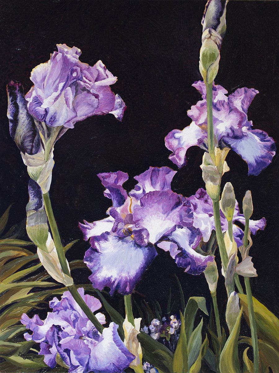 Sandra Bryant - "Iris" – Xanadu Gallery