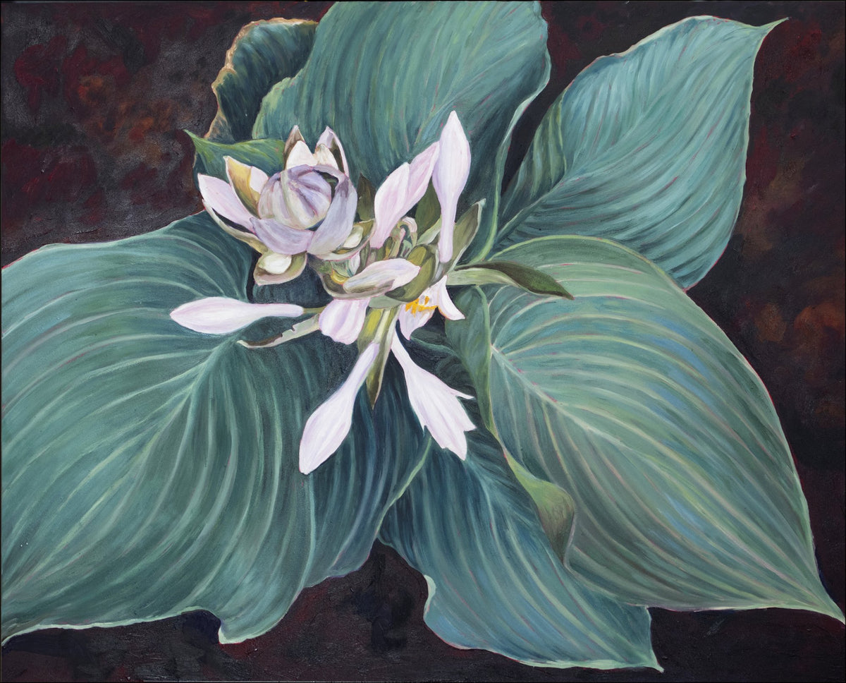 Sandra Bryant - "Hosta" – Xanadu Gallery